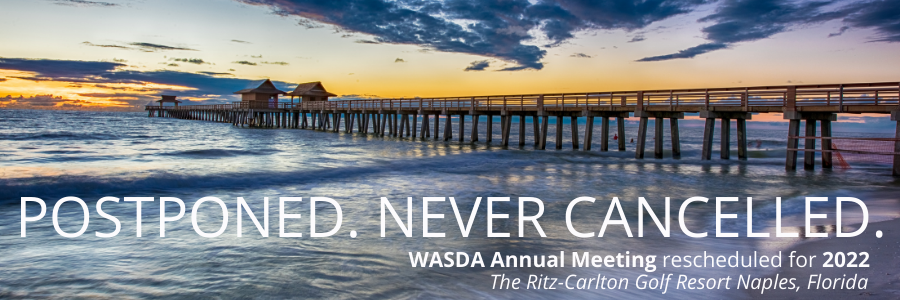 WASDACONNECT2020-Recap